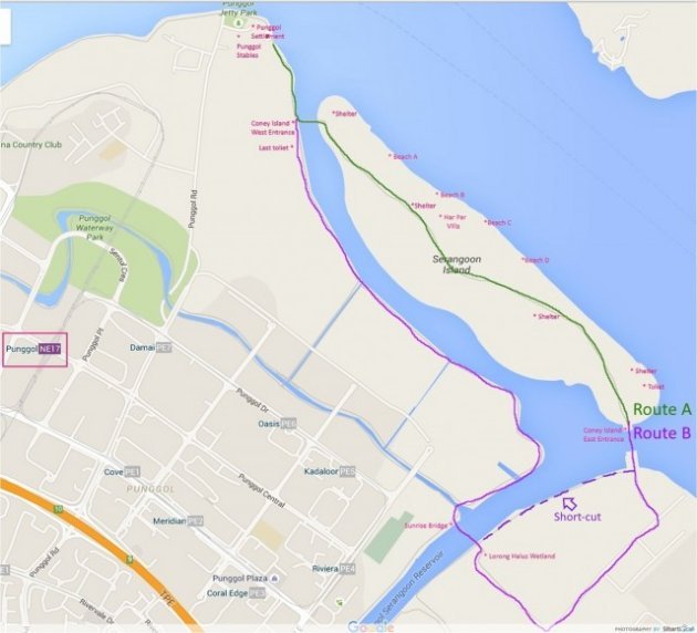 Coney Island Fun Map