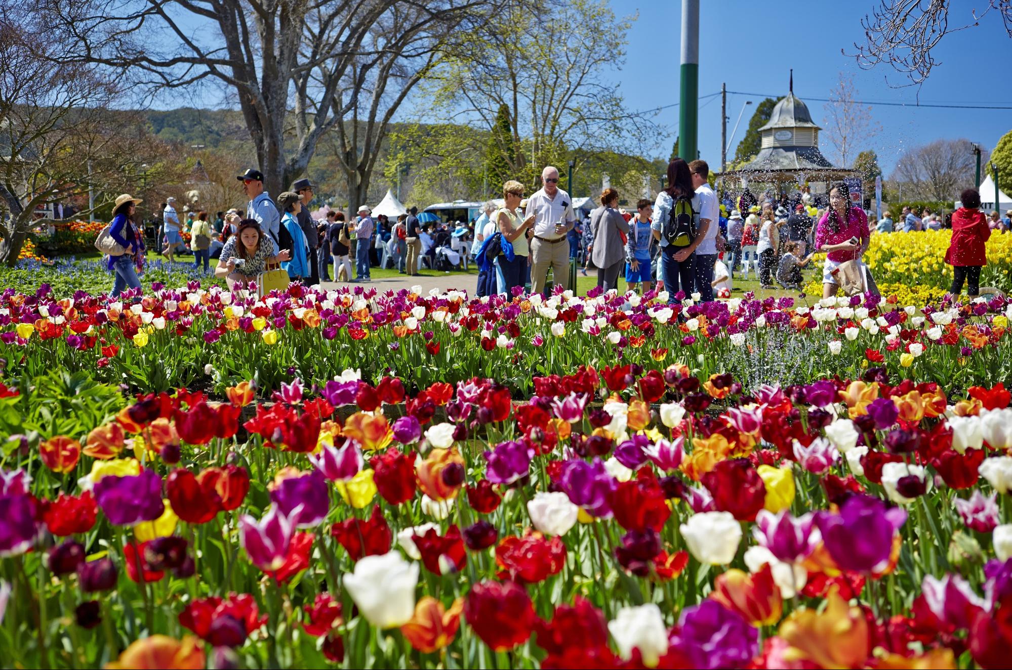 14 Gorgeous Reasons To Visit Sydney This Spring - TheSmartLocal