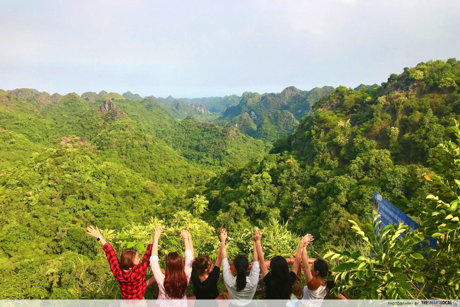 20 Vietnam Forests, Mountains & Nature Attractions For Thrilling Getaways