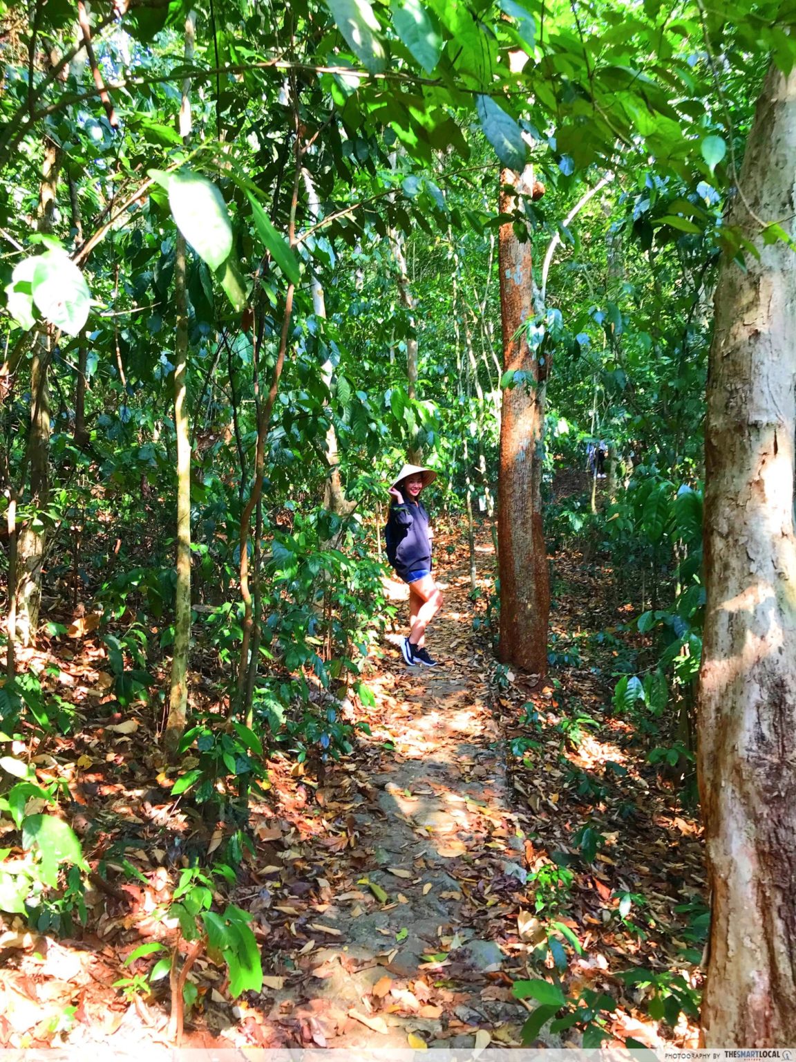 20 Vietnam Forests, Mountains & Nature Attractions For Thrilling Getaways