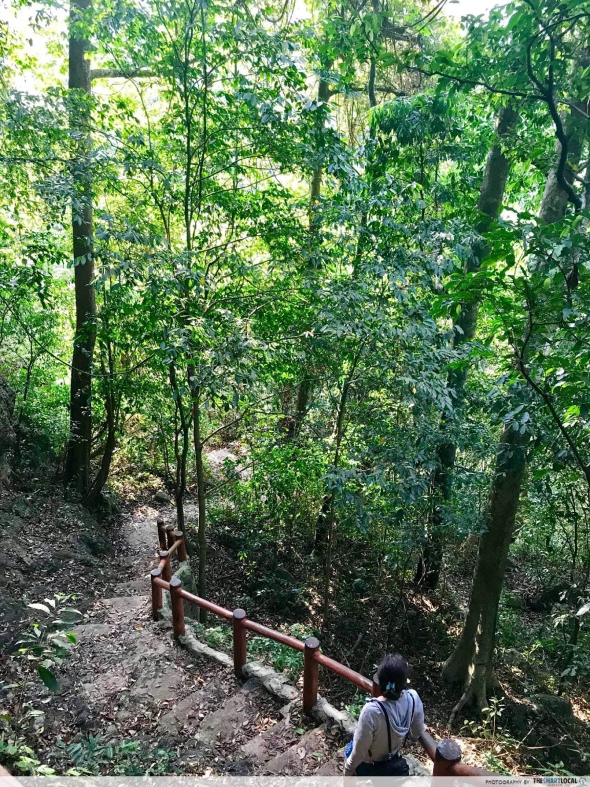 20 Vietnam Forests, Mountains & Nature Attractions For Thrilling Getaways