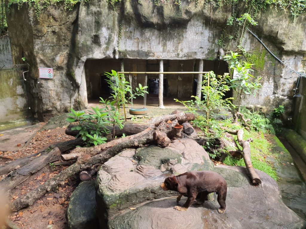 Saigon Zoo Staff Accept Pay Cut To Provide More For Animals