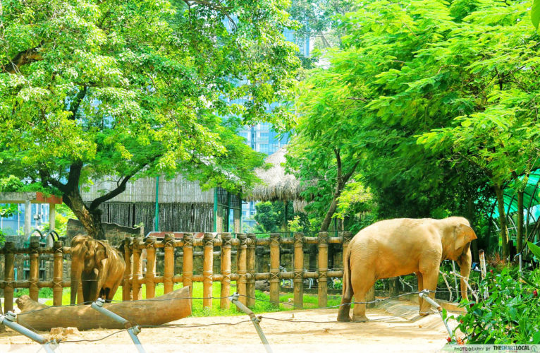 Saigon Zoo Guide: Things To Do From Animal-Spotting To Tram Rides