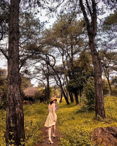 20 Best Camping Sites In Vietnam For A Breathtaking Escape