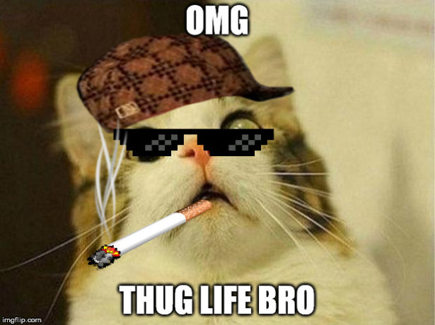 Dog In Shades Wears A Mask, Looks Like Thug Life Meme IRL