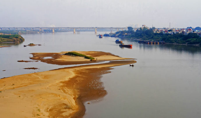 Man Creates A Marijuana Garden At Hanoi's Hong River Bank