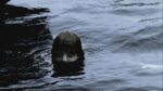 9 Ghosts And Demons In Vietnamese Folklore That Scared Us As Kids
