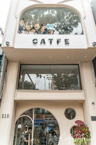 CATFE, Saigon: Cat Cafe With A Snack Buffet And Unlimited Drinks