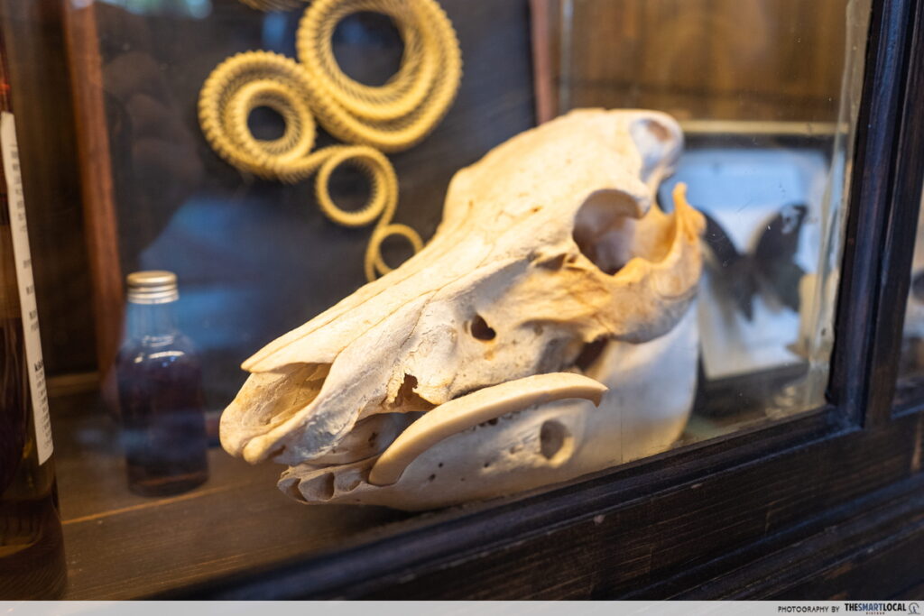 The Alchemist Cafe, Saigon: Goth Cafe With Tattoo, Skulls & Taxidermy