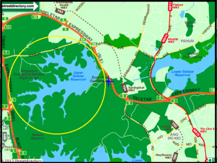 Scenic Upper Seletar Reservoir