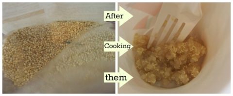 Fit To Win X Nikki Utley Workshop