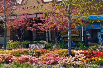 14 Gorgeous Reasons To Visit Sydney This Spring