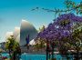 14 Gorgeous Reasons To Visit Sydney This Spring