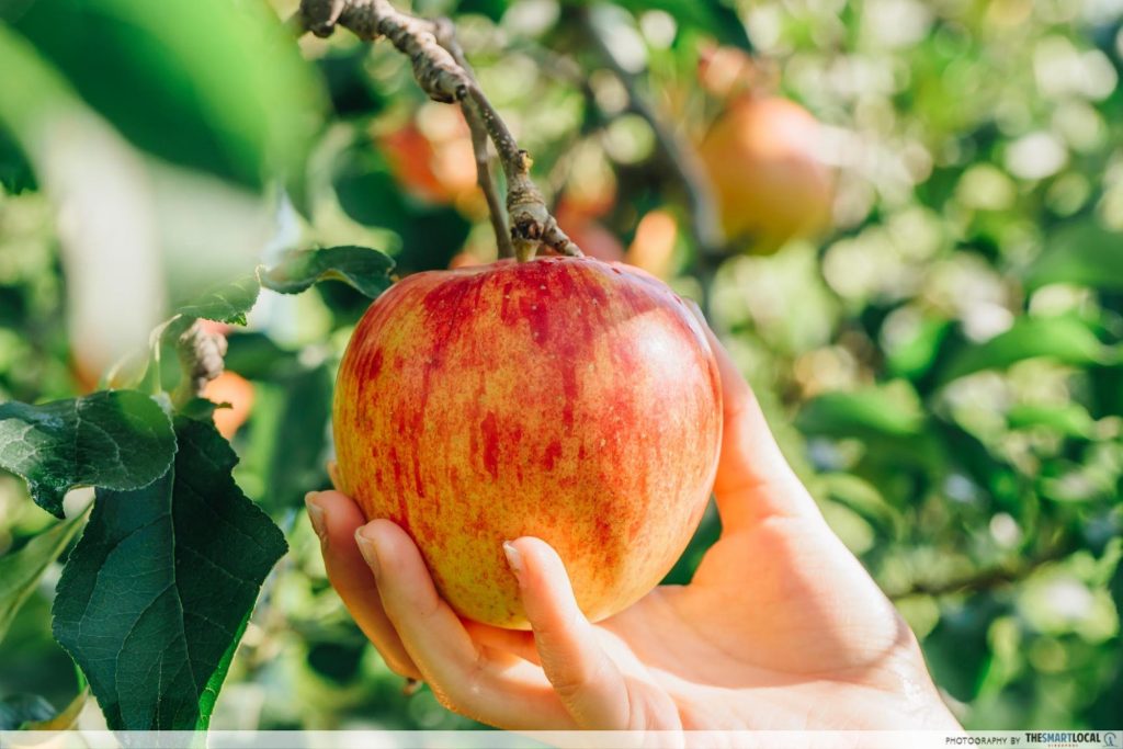 Tohoku Things To Do - 13 Unique Experiences In Japan You Can't Get In ...