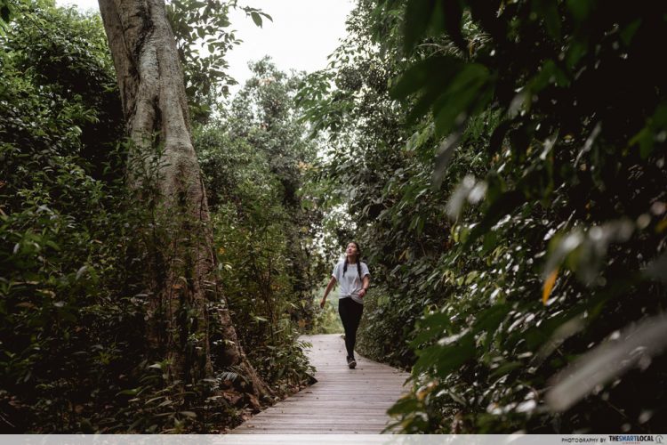 8 Nature Running Trails In Singapore's Heartlands Only People In The ...