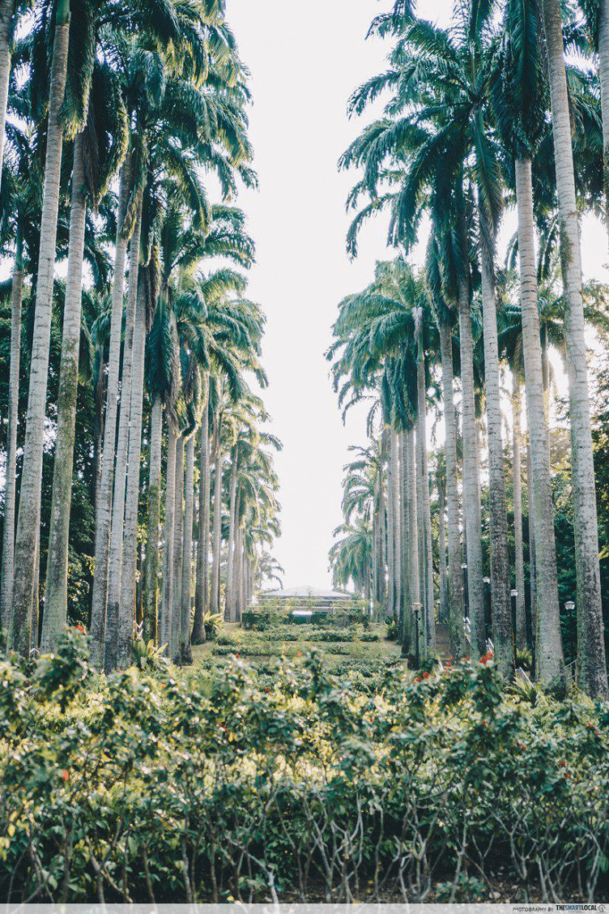 9 Underrated Places And Activities In Ang Mo Kio To Upgrade Your ...