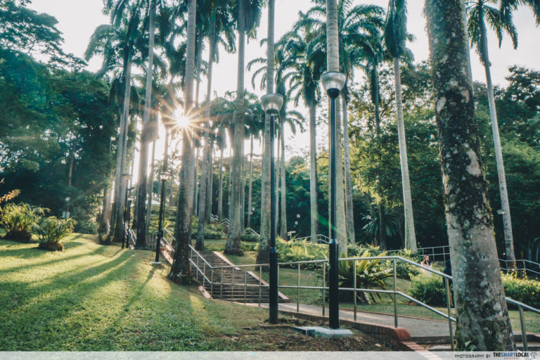 9 Underrated Places And Activities In Ang Mo Kio To Upgrade Your ...