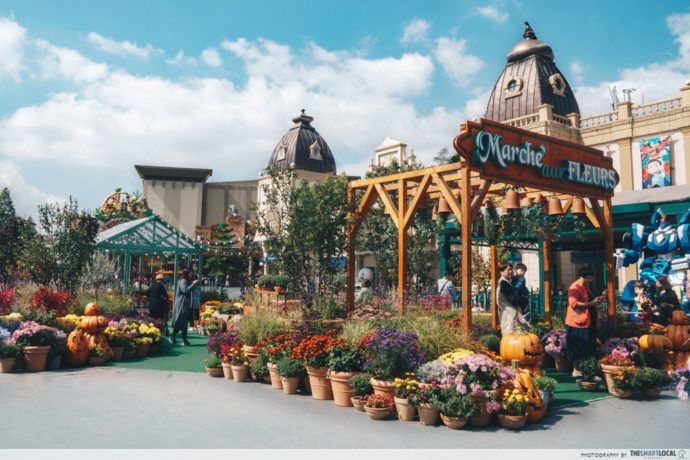 Everland Guide: Tips for Korea’s Greatest Amusement Park
