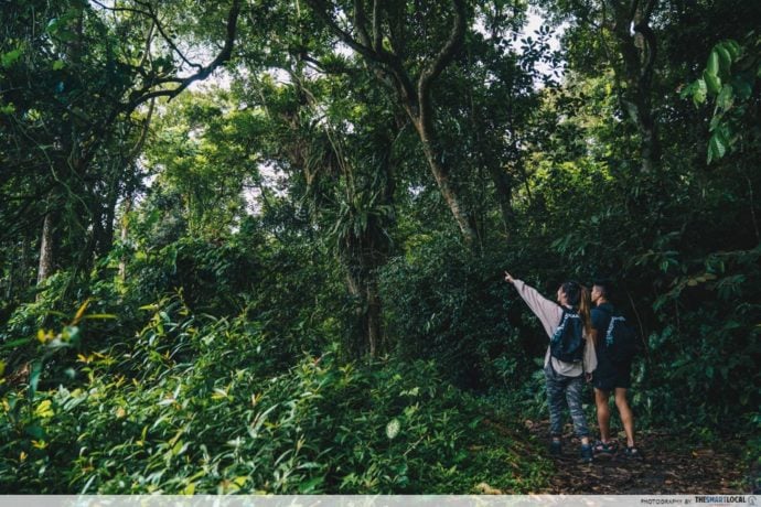 5 Hiking Trails In Singapore That Our SAF Soldiers Use For Route March