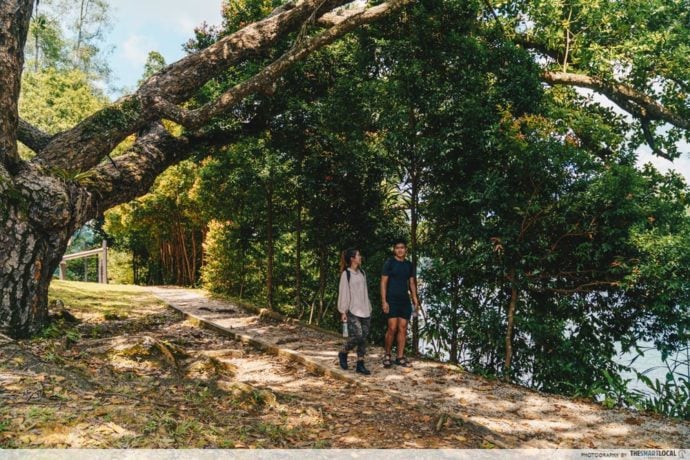 5 Hiking Trails In Singapore That Our SAF Soldiers Use For Route March