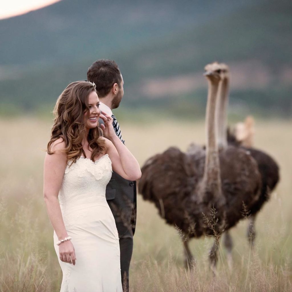 10 Exotic Photoshoot Destinations With Direct Flights From Singapore ...