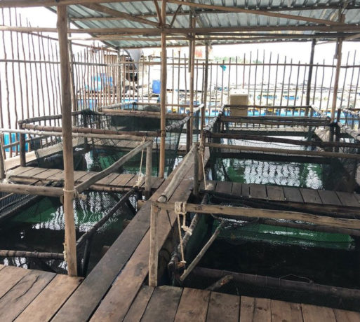 10 Batam Restaurants With Affordable Seafood Like Crab From Just $8