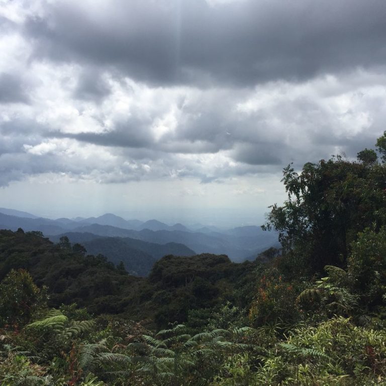 10 Scenic Hiking Trails In Malaysia Even Beginners Can Enjoy