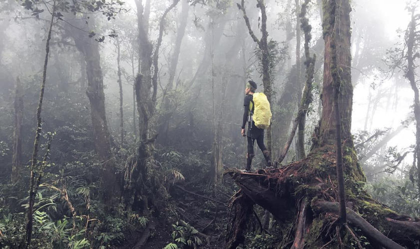 10 Scenic Hiking Trails In Malaysia Even Beginners Can Enjoy