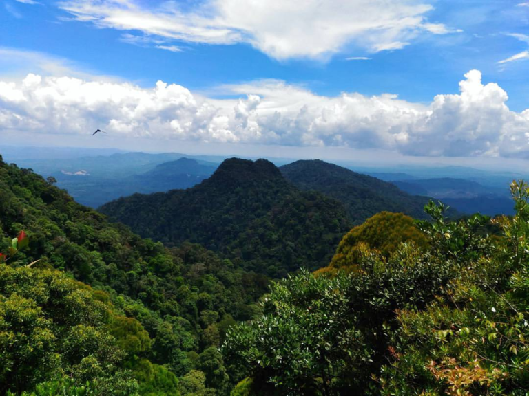 10 Scenic Hiking Trails In Malaysia Even Beginners Can Enjoy