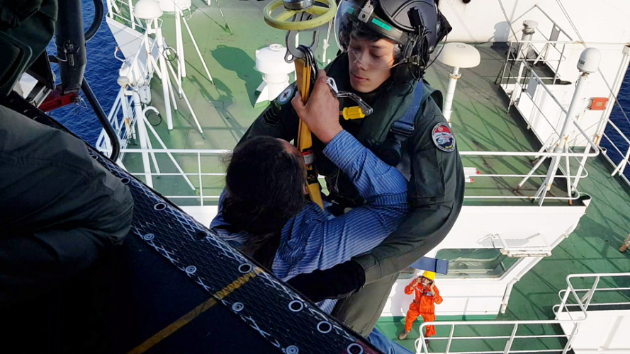 7 Unexpected Facts About The SAF You Never Knew Like Yearly Dog Adoptions