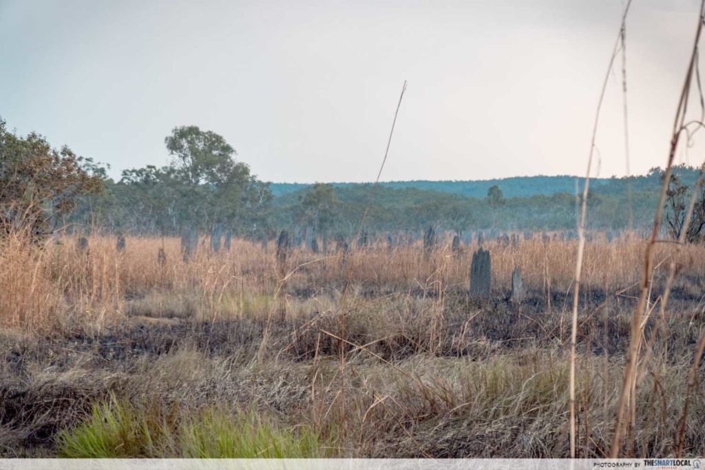 12 Epic Things To Do In Darwin & Australia's Northern Territory - A ...