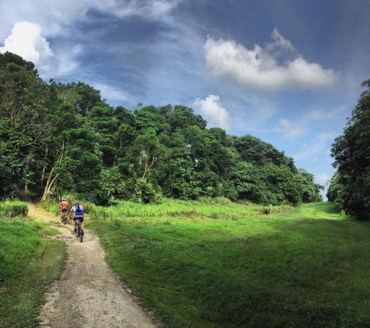 11 Perks Of Living At Bukit Panjang - Nature Trails, Glow-In-The-Dark ...