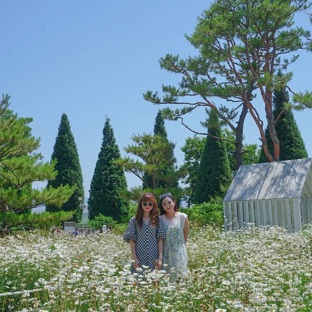 8 Korean Islands Near Seoul For Day Trips From Just 1 Hour Away That ...