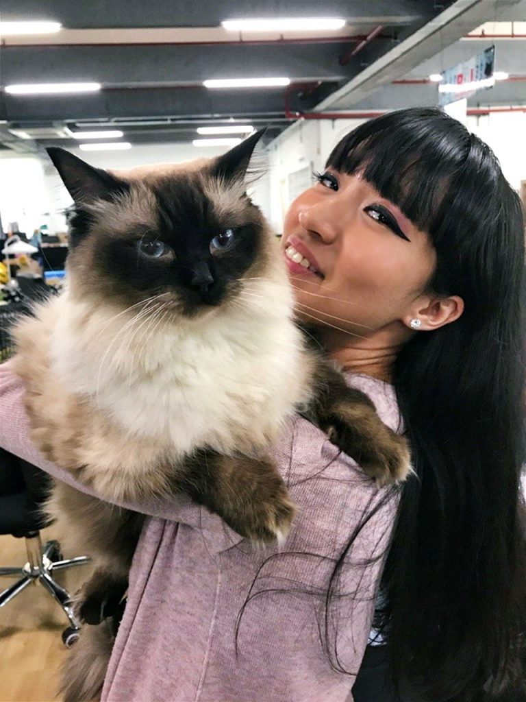 How I Went From Disliking Cats To Becoming A Cat Lady