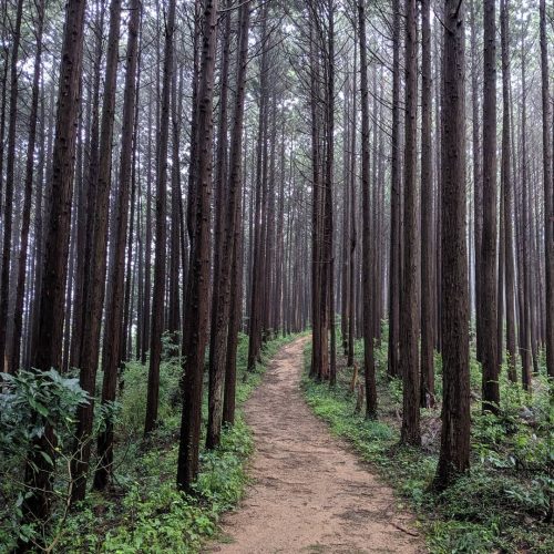 8 Mountains Near Tokyo To Hike At For Breathtaking Views Less Than 2 ...