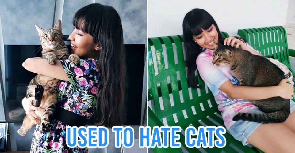 How I Went From Disliking Cats To Becoming A Cat Lady