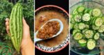 What Your Mum Actually Means By "Heatiness", With Tips From A Western ...