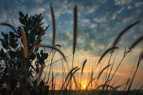 Sunset & Sunrise In Singapore - 15 Spots To Camp During Golden Hour