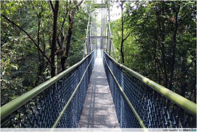 10 New Features Of Tengah That’ll Make You Want To BTO There ASAP