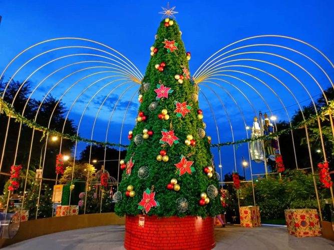Christmas Light-Up 2019: 12 Spots In Singapore With Giant Trees ...