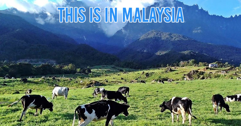 10 Malaysian Destinations That'll Convince Your Friends You're ...