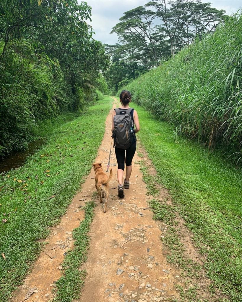 7 Dog-Friendly Hiking Trails In Singapore To Check Out With Your Pup