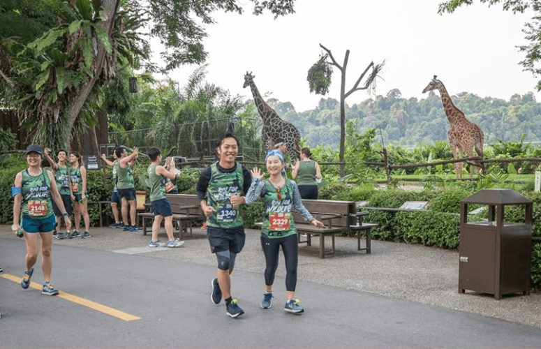 Safari Zoo Run 2020 Is Back With Free Entry To Two Parks & Cute Animal ...