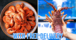 8 Fresh Seafood Delivery Services for Busy Singaporeans With No Time To ...