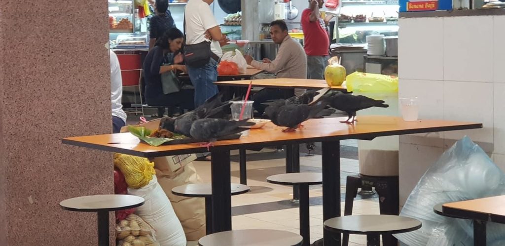 9 Situations In Your HDB That Town Councils Can Help You With