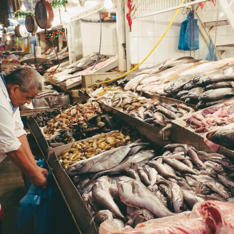 Senoko Fishery Port: Singapore’s Own Tsukiji Fish Market In Sembawang