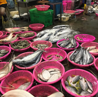 Senoko Fishery Port: Singapore’s Own Tsukiji Fish Market In Sembawang