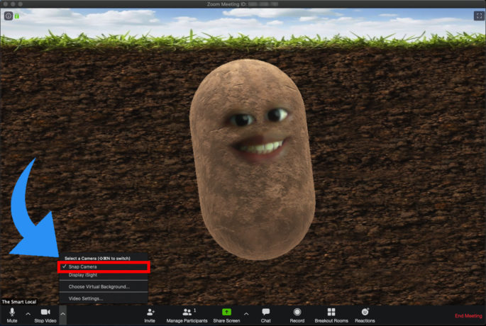 Zoom Hacks & Tips - secret tools to enhance your video meetings