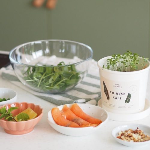 8 Plant Growing Kits To Buy Online To Unleash Your Inner Farmer