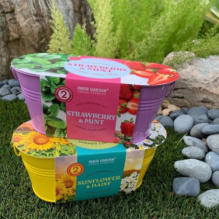 8 Plant Growing Kits To Buy Online To Unleash Your Inner Farmer